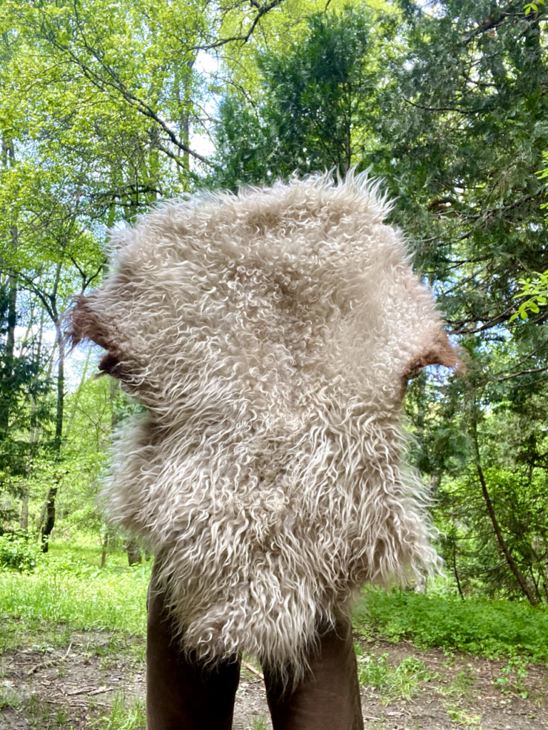 Natural Hide Tanning - Spirit Weavers Gathering